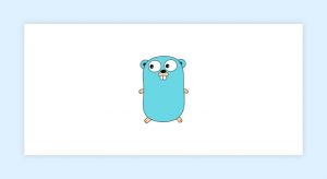 Best Programming Languages for Blockchain Development