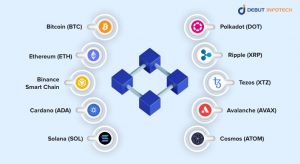 Top 10 Blockchain Ecosystem Protocols of 2024